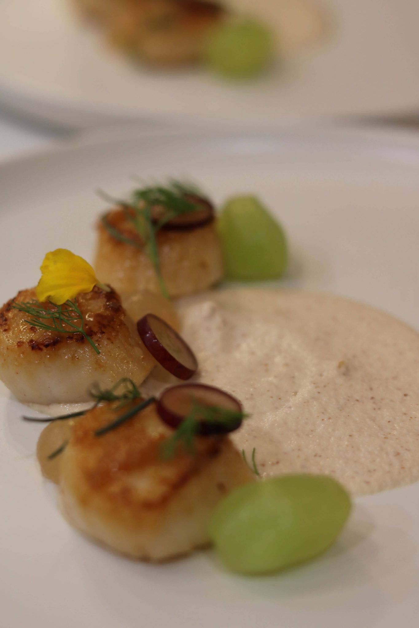 Atlanta Personal Chef Service - Events, Catering and Prepared Meals ...